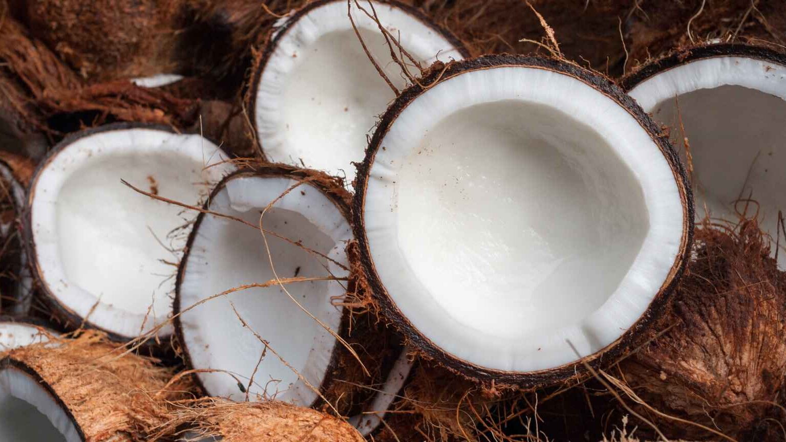 ¿Comer coco de noche engorda? Descubre la verdad detrás de esta ...