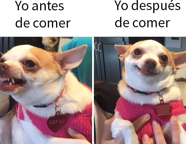 Wenis Memes