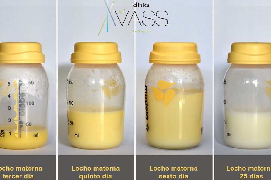 Cómo engordar la leche materna: Consejos para mejorar la calidad ...