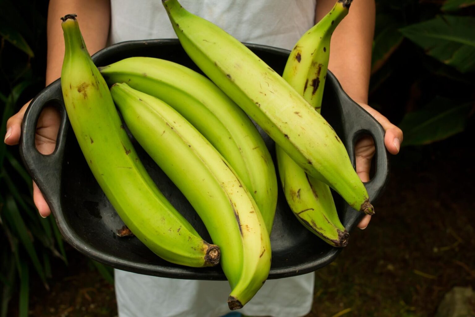 El plátano verde: ¿Engorda o adelgaza? - Todo Engorda