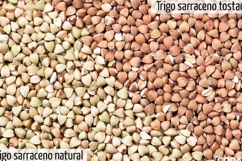 El trigo sarraceno engorda: mito o realidad - Todo Engorda