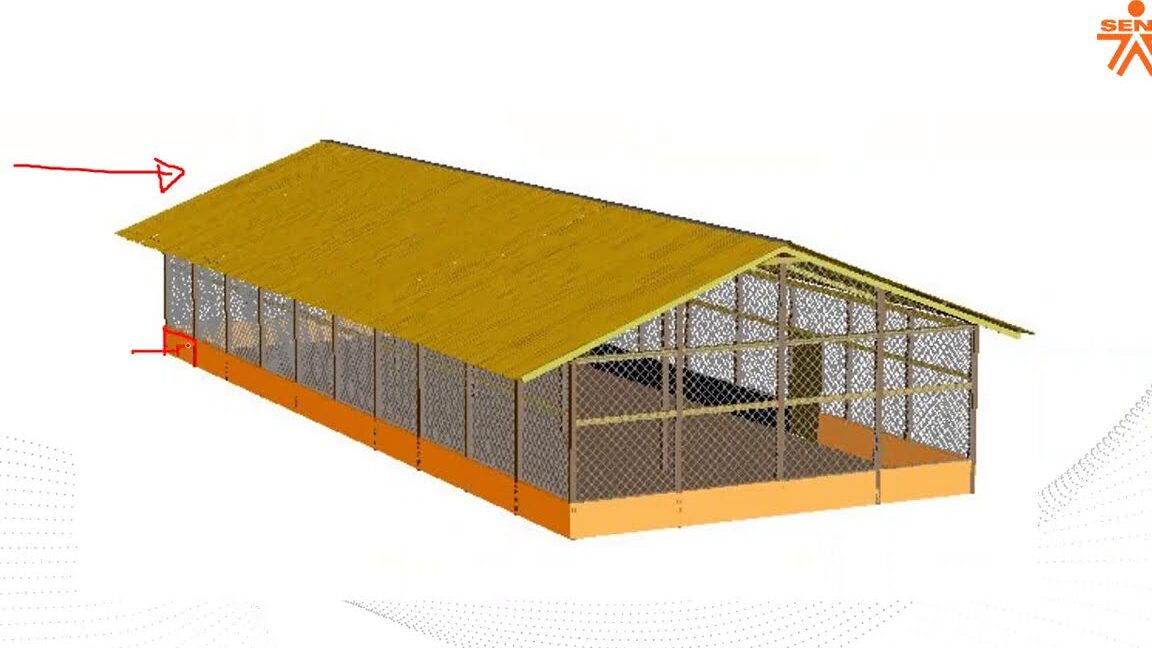 Instalaciones Avícolas Para Pollos De Engorde La Clave Para Una