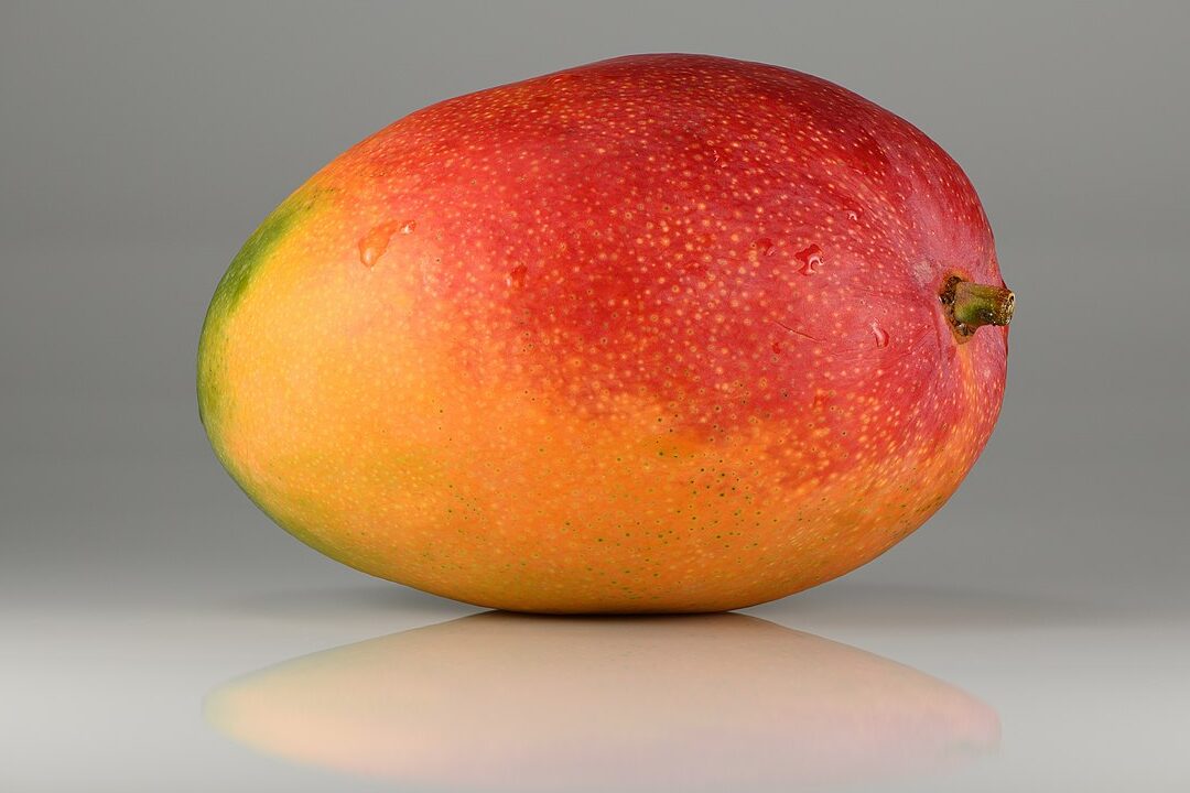 La fruta mango engorda: ¿Mito o realidad? - Todo Engorda