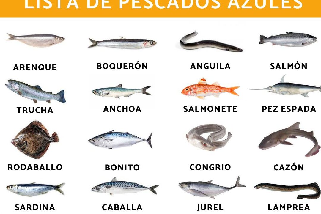 Pescados que más engordan: ¿cuáles debes tener en cuenta? - Todo Engorda