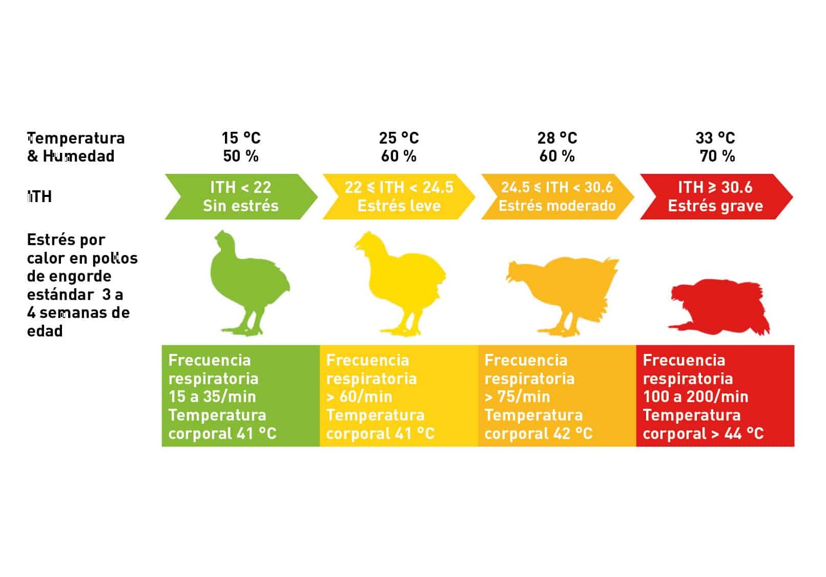 Temperatura y humedad para pollos de engorde: ¿Qué debes saber? - Todo ...