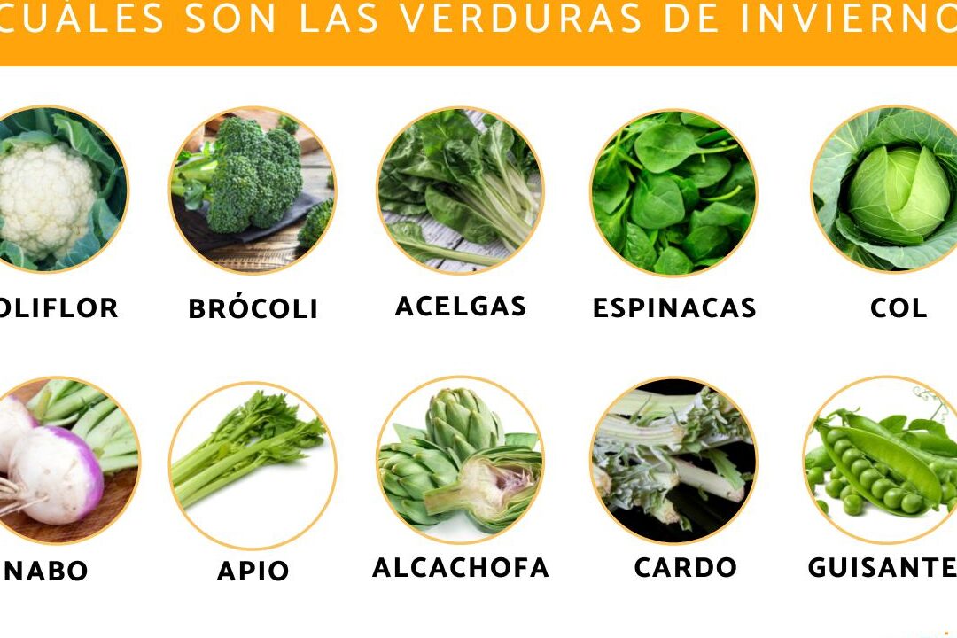 Verduras para no engordar: una opción saludable y deliciosa - Todo Engorda